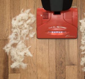 Simplicity Freedom Cordless Upright - Stonybrook Vaccum